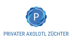 Privater Axolotl Züchter